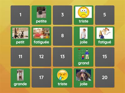 Adjectifs féminin - Ressources pédagogiques