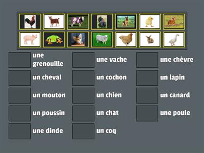 Les animaux - Teaching resources