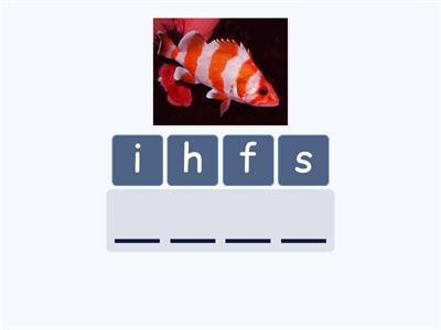 Phonics Sh game - Teaching resources