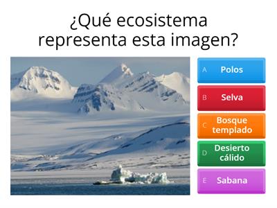Ecosistemas terrestres - Recursos didácticos