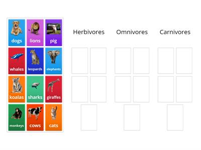 Herbivores carnivores omnivore - Teaching resources
