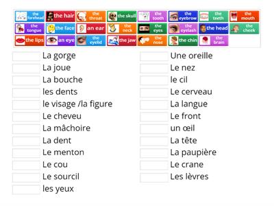 French Les parties du corps - Teaching resources