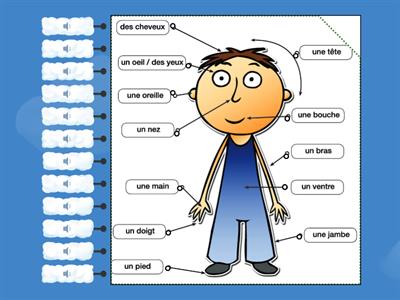 Les parties du corps des animaux - Ressources pédagogiques