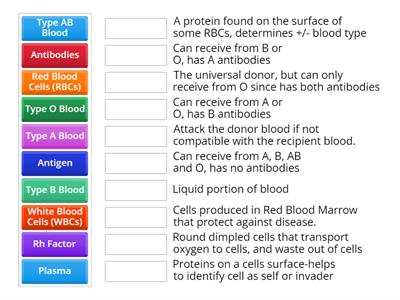 Blood genetics - Teaching resources