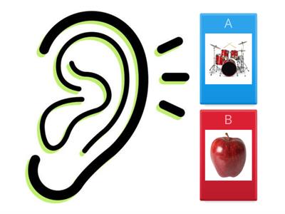 Five senses - Teaching resources