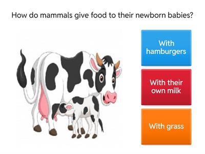 Vertebrates - Teaching resources
