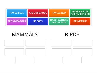 Mammals and birds - Recursos didácticos
