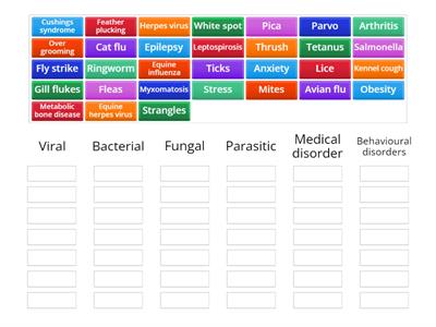 Illnesses and diseases - Teaching resources