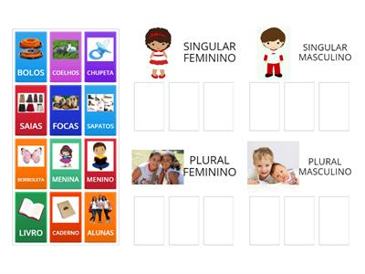 Singular plural feminino masculino - Recursos de ensino