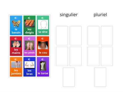 Singulier pluriel - Ressources pédagogiques