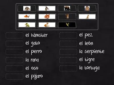 Spanish Los animales - Teaching resources