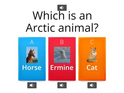 Animals Arctic - Teaching resources