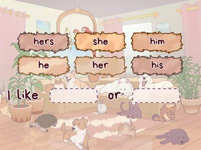He his she her - Teaching resources