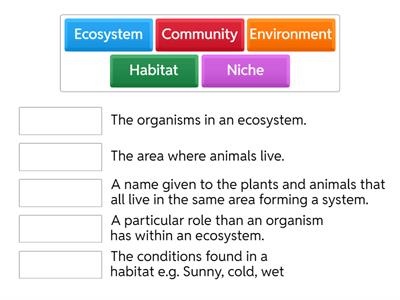 Ecosystems - Teaching resources