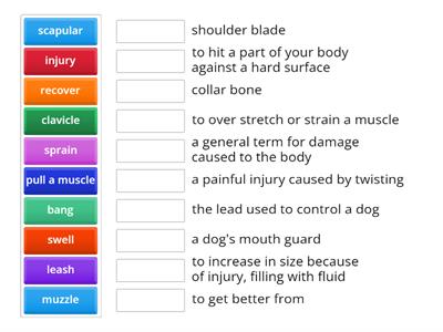 Injuries - Teaching resources