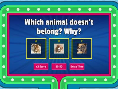 Which word does not belong - Teaching resources