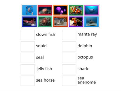 Sea creatures - Teaching resources