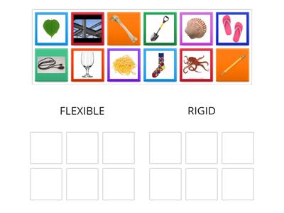 Rigid flexible - Teaching resources