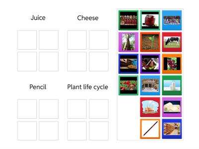 Present simple put the sentences in order - Recursos de ensino