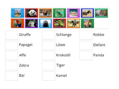 Tiere deutsch - Unterrichtsmaterialien