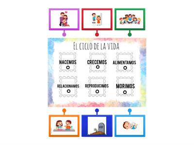 Ciclo de vida humano - Recursos didácticos