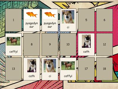 Anifeiliaid - Teaching resources