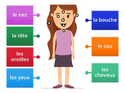 Le corps - Teaching resources