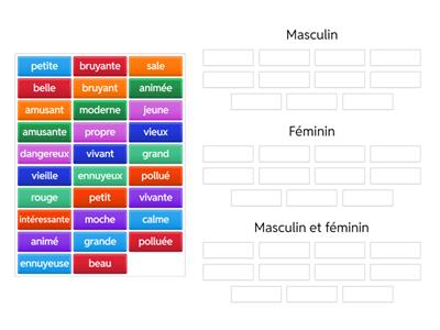 Adjectifs féminin - Ressources pédagogiques