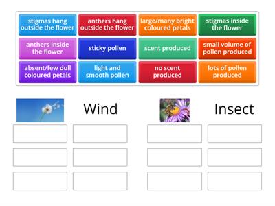 Insect - Teaching resources