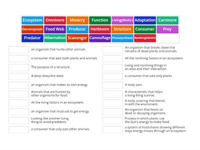 Food Trophic levels webs - Teaching resources
