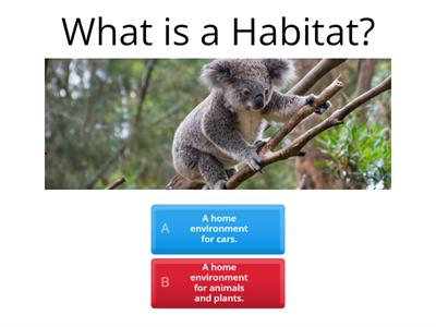 Habitats - Teaching resources