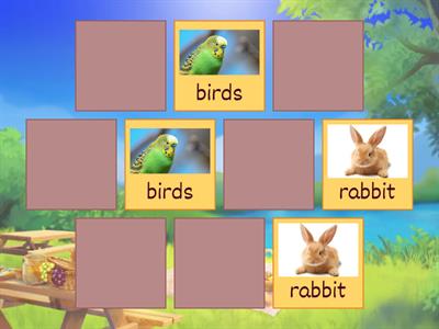 Pets - Teaching resources