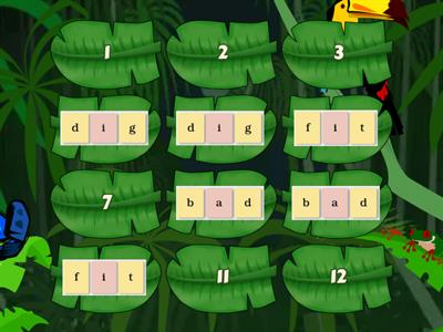 Jungle - Teaching resources