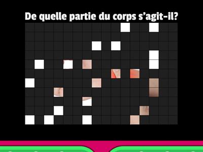 Les parties du corps des animaux - Ressources pédagogiques
