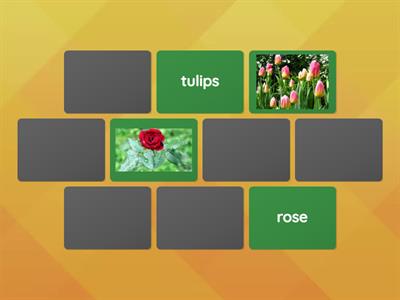 Flowers - Teaching resources