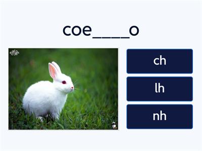 1º ano nh e lh ch - Recursos de ensino