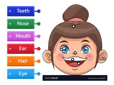 Face - Teaching resources