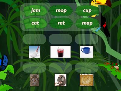 Cvc word match - Teaching resources