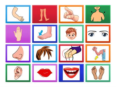 Vocabulary Body parts - Recursos didácticos