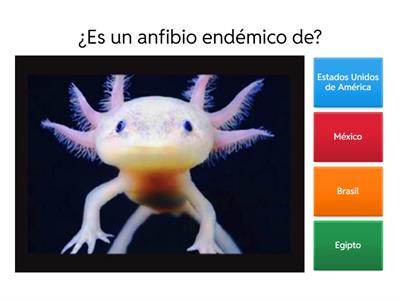 Ajolote mexicano - Recursos didácticos