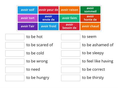 Expressions avec avoir - Teaching resources