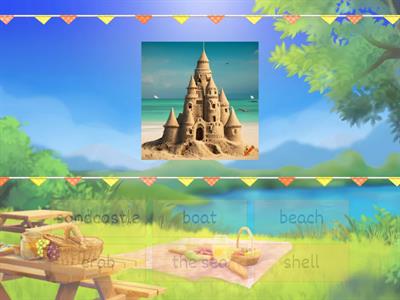 Beach - Teaching resources