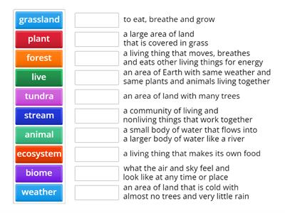 Ecosystem interaction - Teaching resources