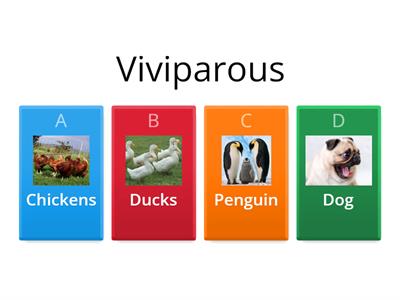 Animals Viviparous and oviparous - Recursos didácticos