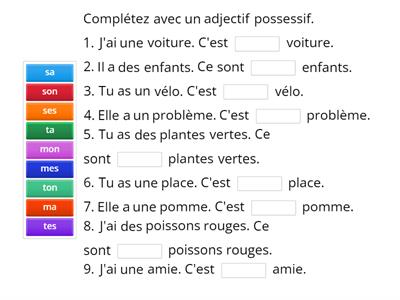 Les adjectifs possessifs - Teaching resources