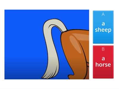 Vocabulary Animals - Teaching resources