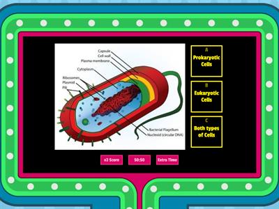 Cells Prokaryotic and eukaryotic label - Teaching resources