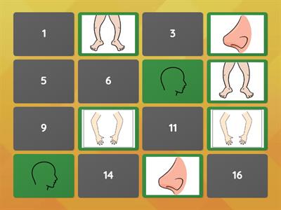 Body parts Memory game - Teaching resources