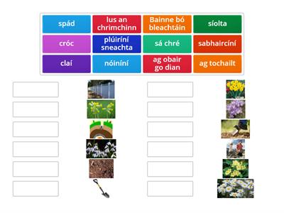 Bua na cainte - Teaching resources