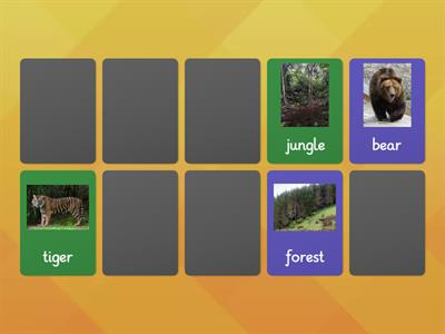Animals Habitats - Teaching resources